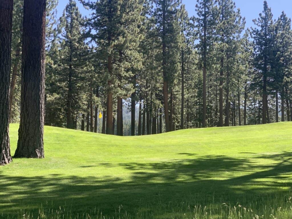South Lake Tahoe Golf Guide - Celebrity Golf Tournament Tahoe - The Jeffrey